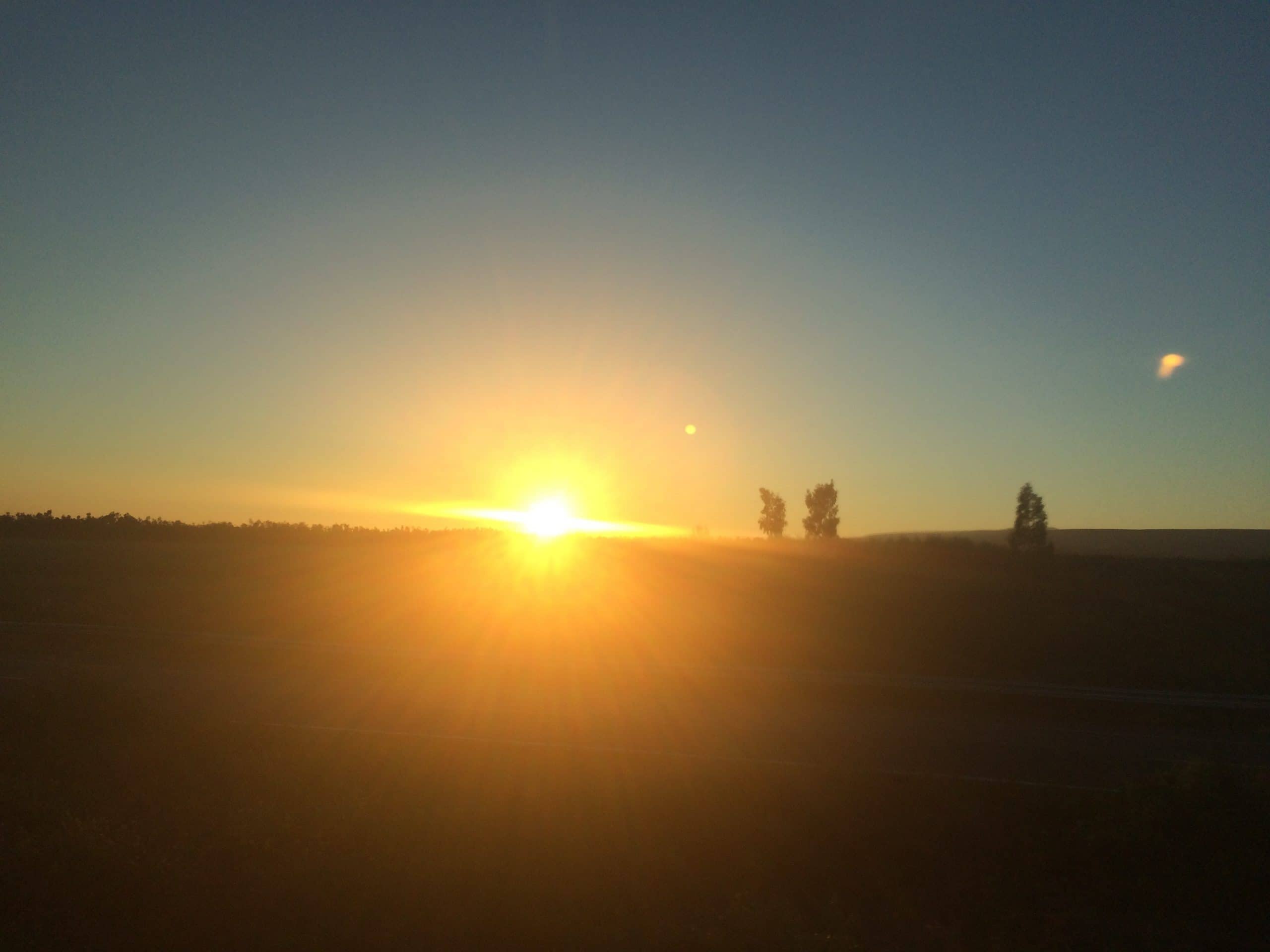 The Marrakesh Express - Wing Rider