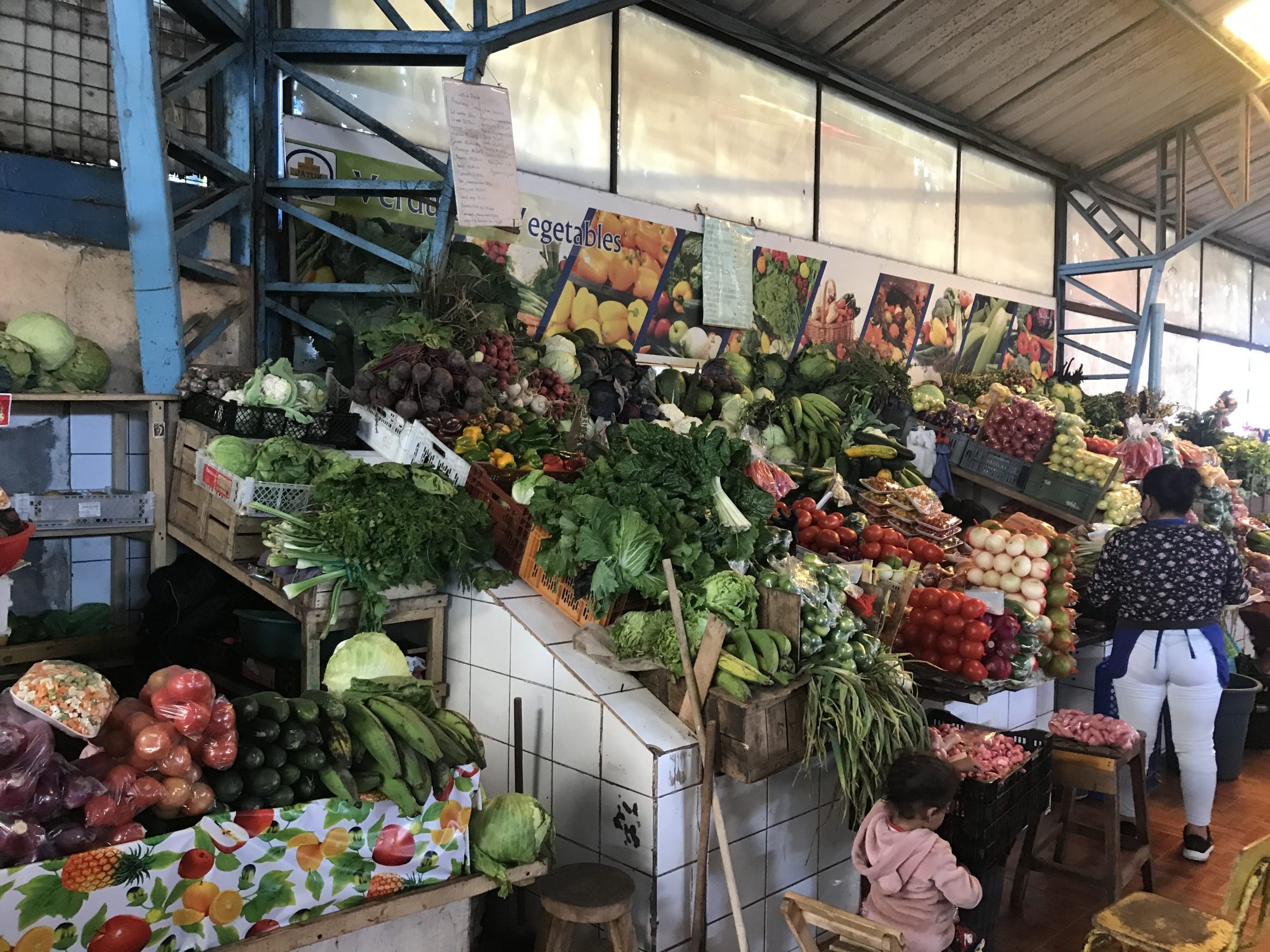 A trip to the market.... - Wing Rider