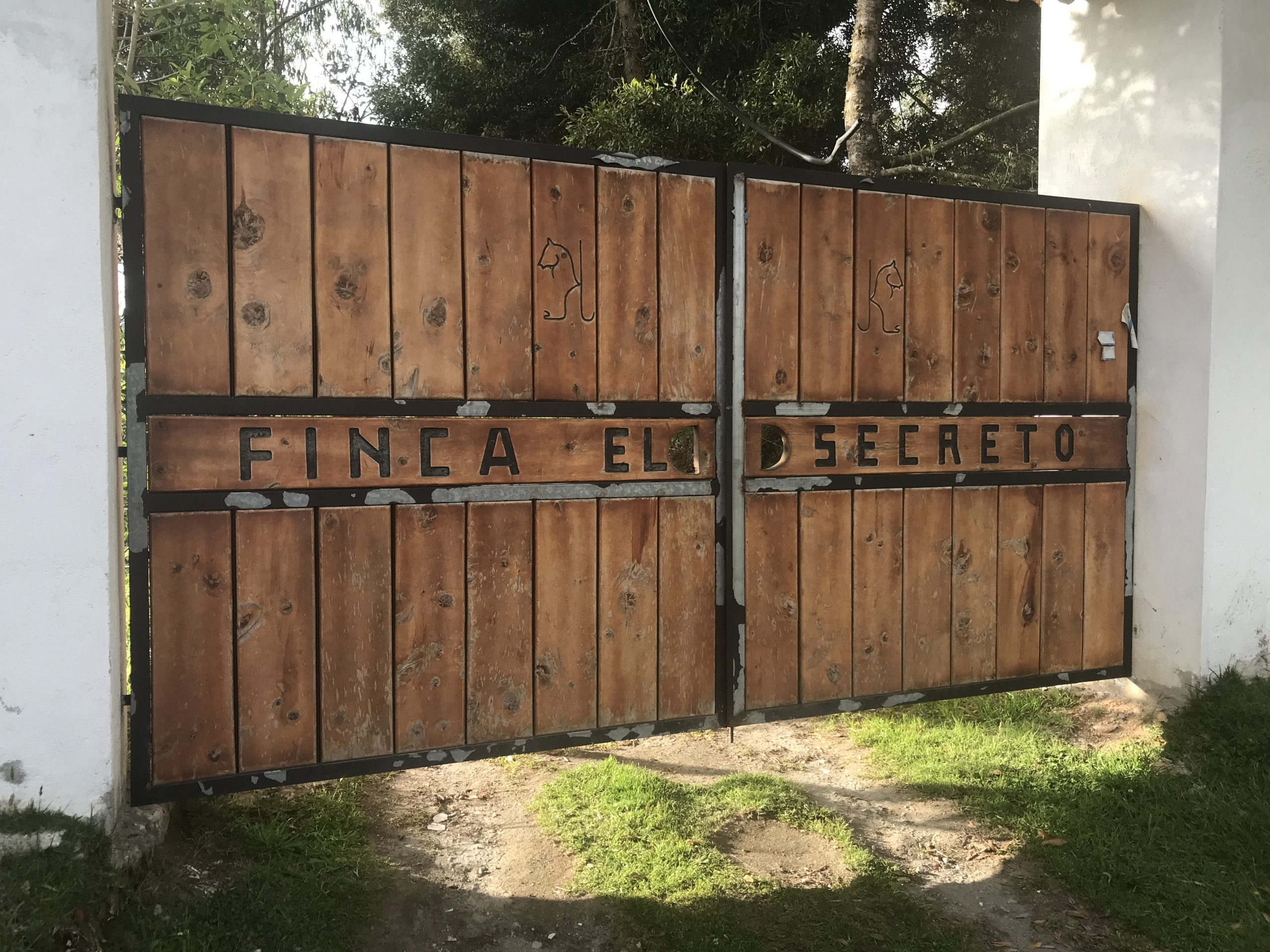 A Trip to a Friend's Finca (Farm) - Wing Rider